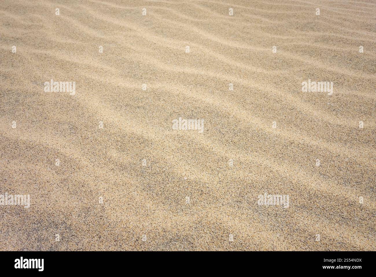 Sand detail on Ponta preta beach in Santa Maria, Sal Island, Cape Verde ...