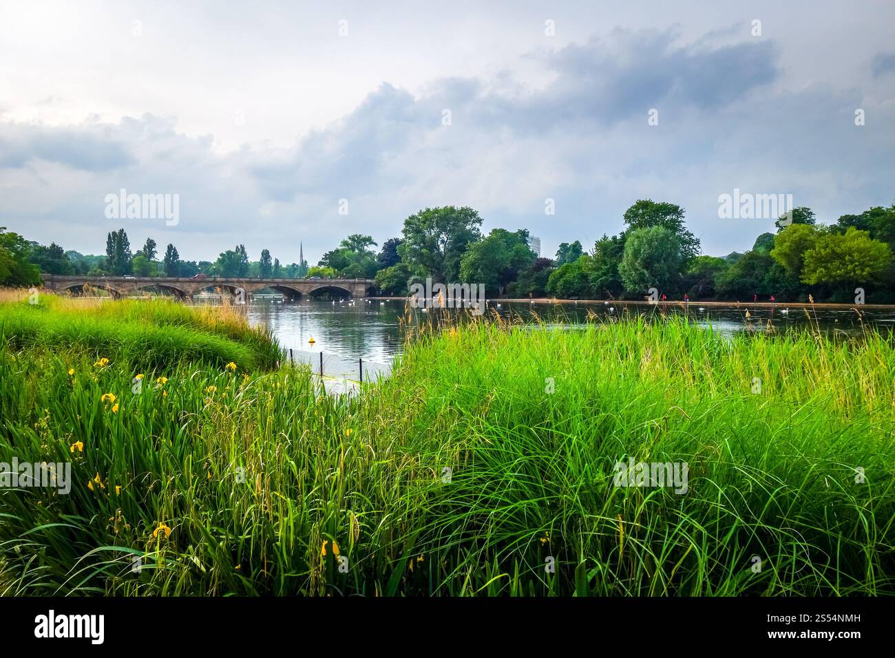 Hide park landscape in London, United Kingdom. Hide park landscape ...
