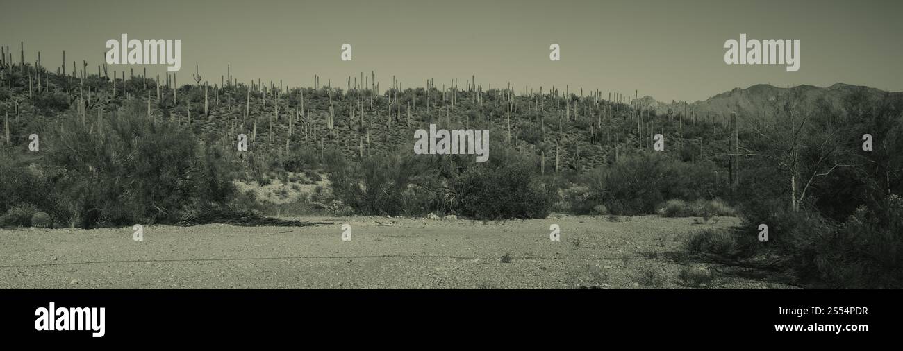 A stunning sepia-toned photograph of Tucson, Arizona, captures a ...