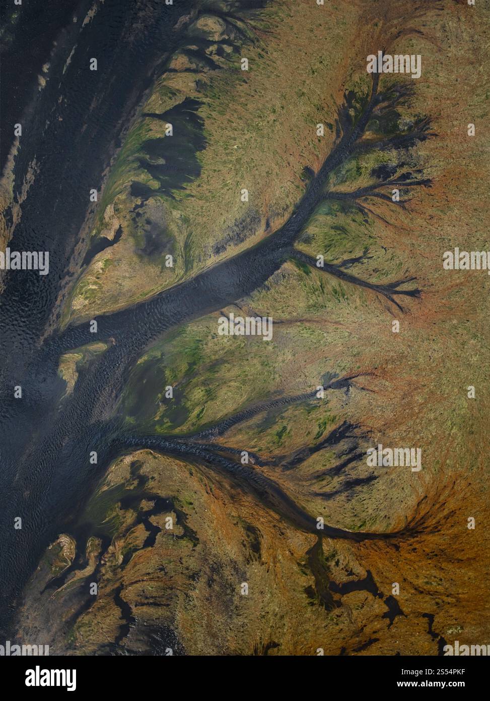 Aerial view of abstract river patterns in Iceland, where braided ...