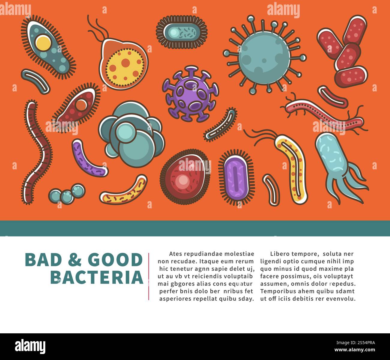 Viruses and bacteria information poster for medical healthcare ...