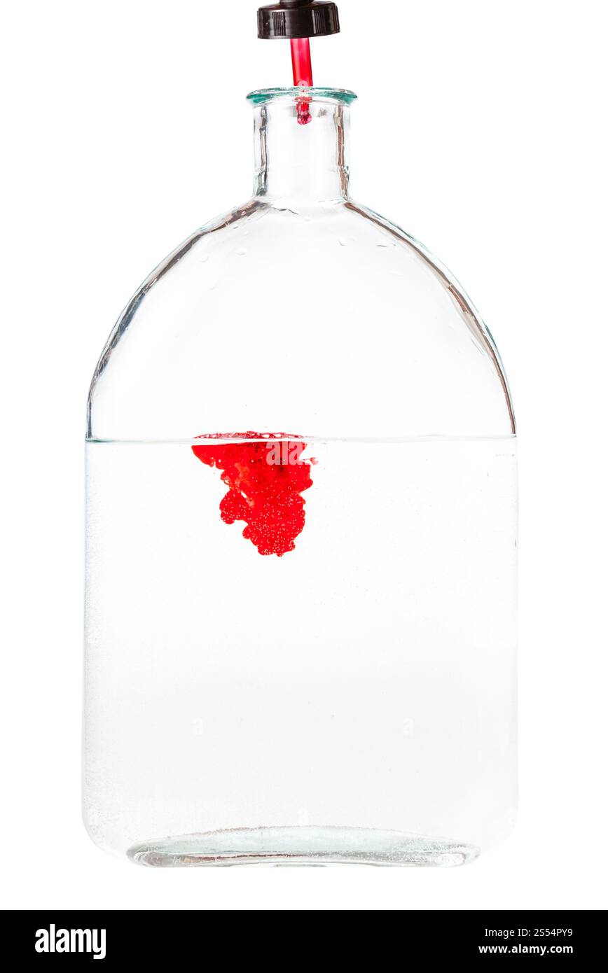 dropper drips red ink in water in glass flask isolated on white background. dropper drips red ...
