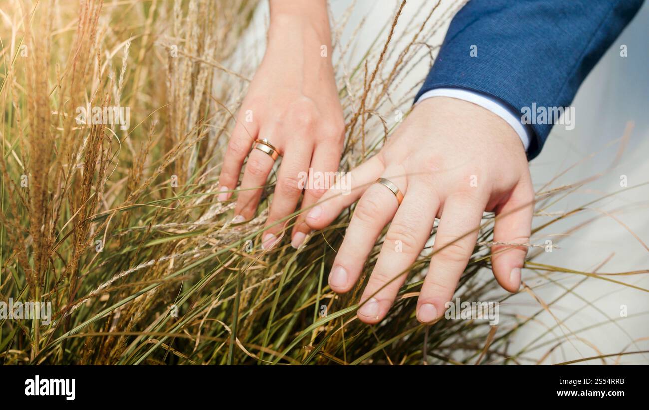 Closeup photo of bride and groom hands touching grass on the field ...