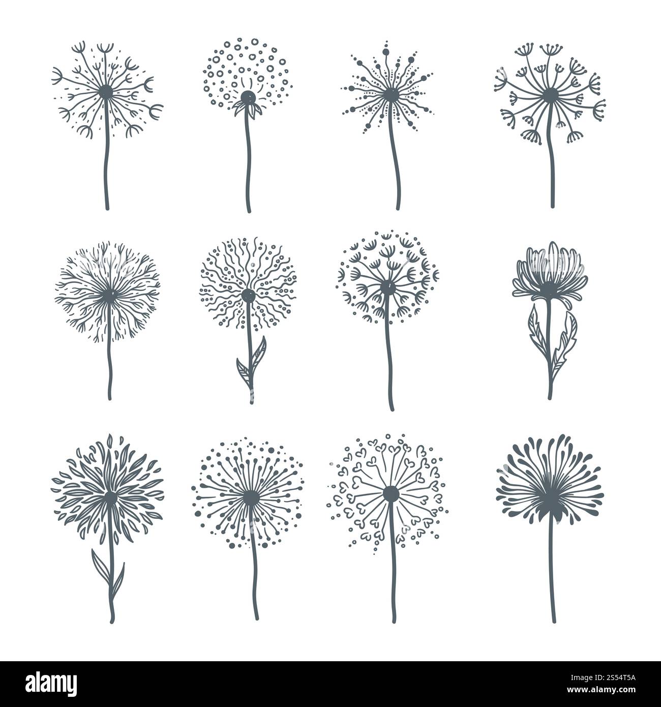 Tender wild dandelion in all phases of blooming. Flower with fresh ...