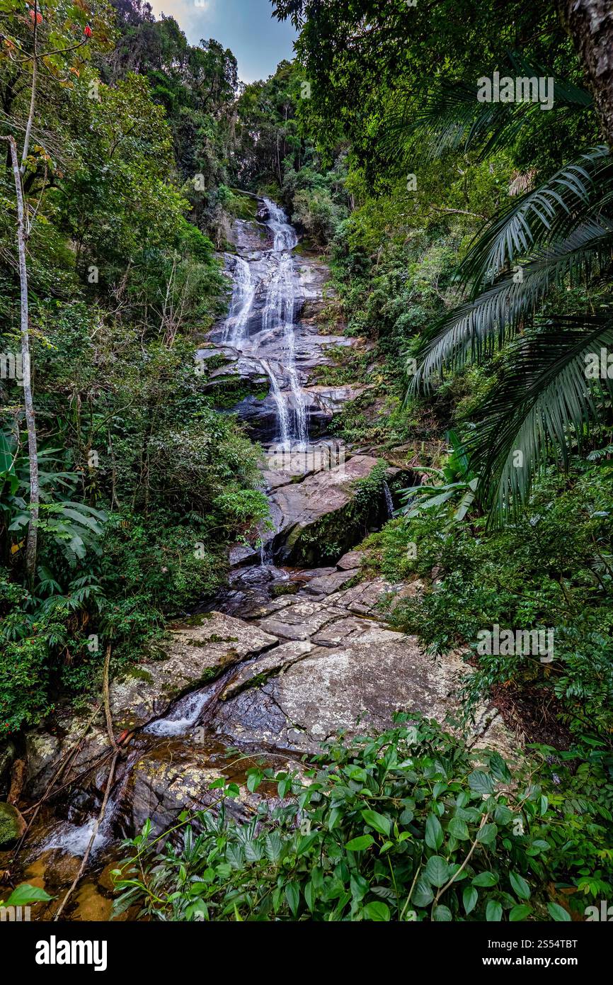 Tijuca Forest in Rio de Janeiro is a haven for nature lovers and ...