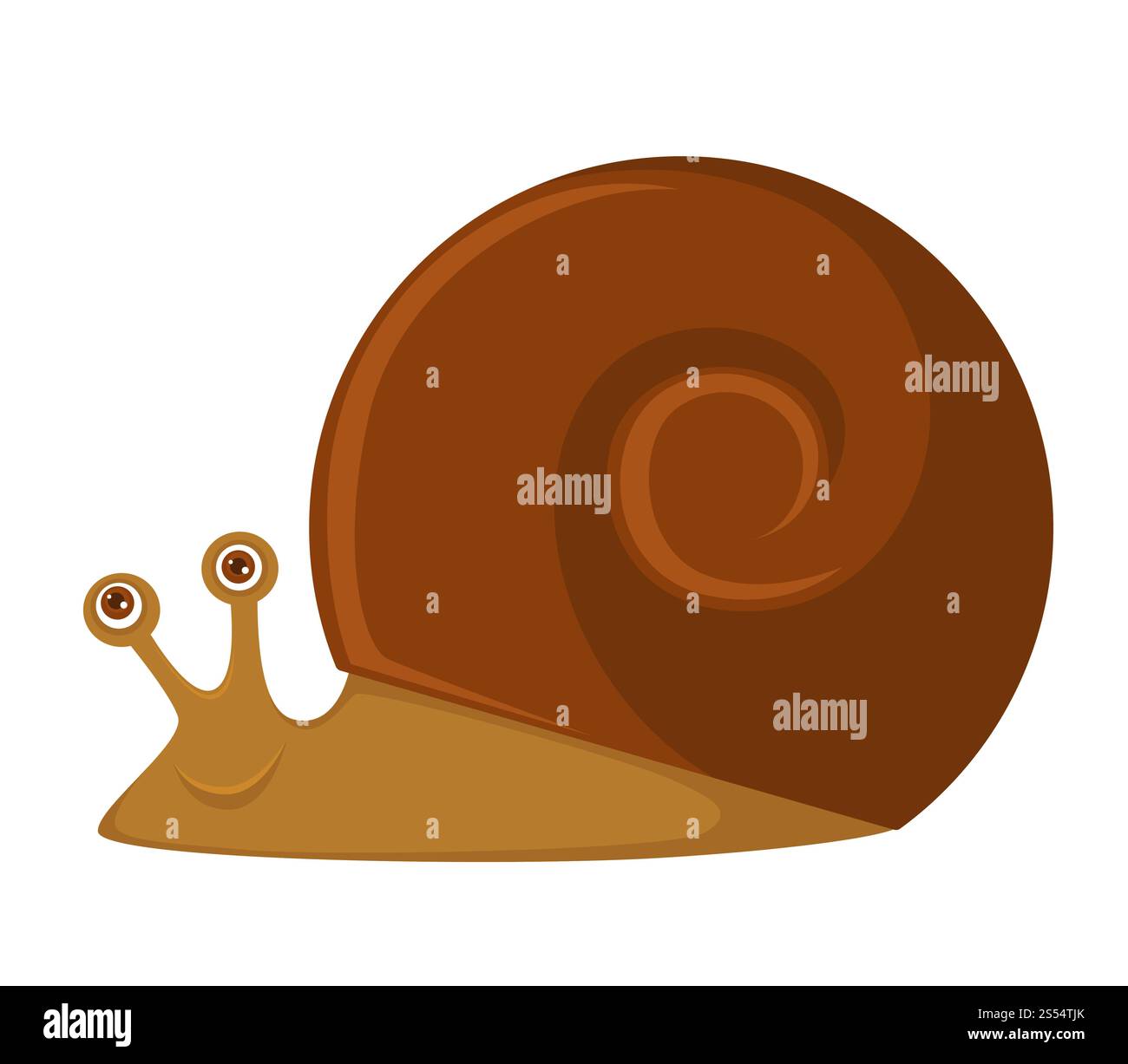 Snail with big brown round shell and friendly face. Unusual exotic pet ...