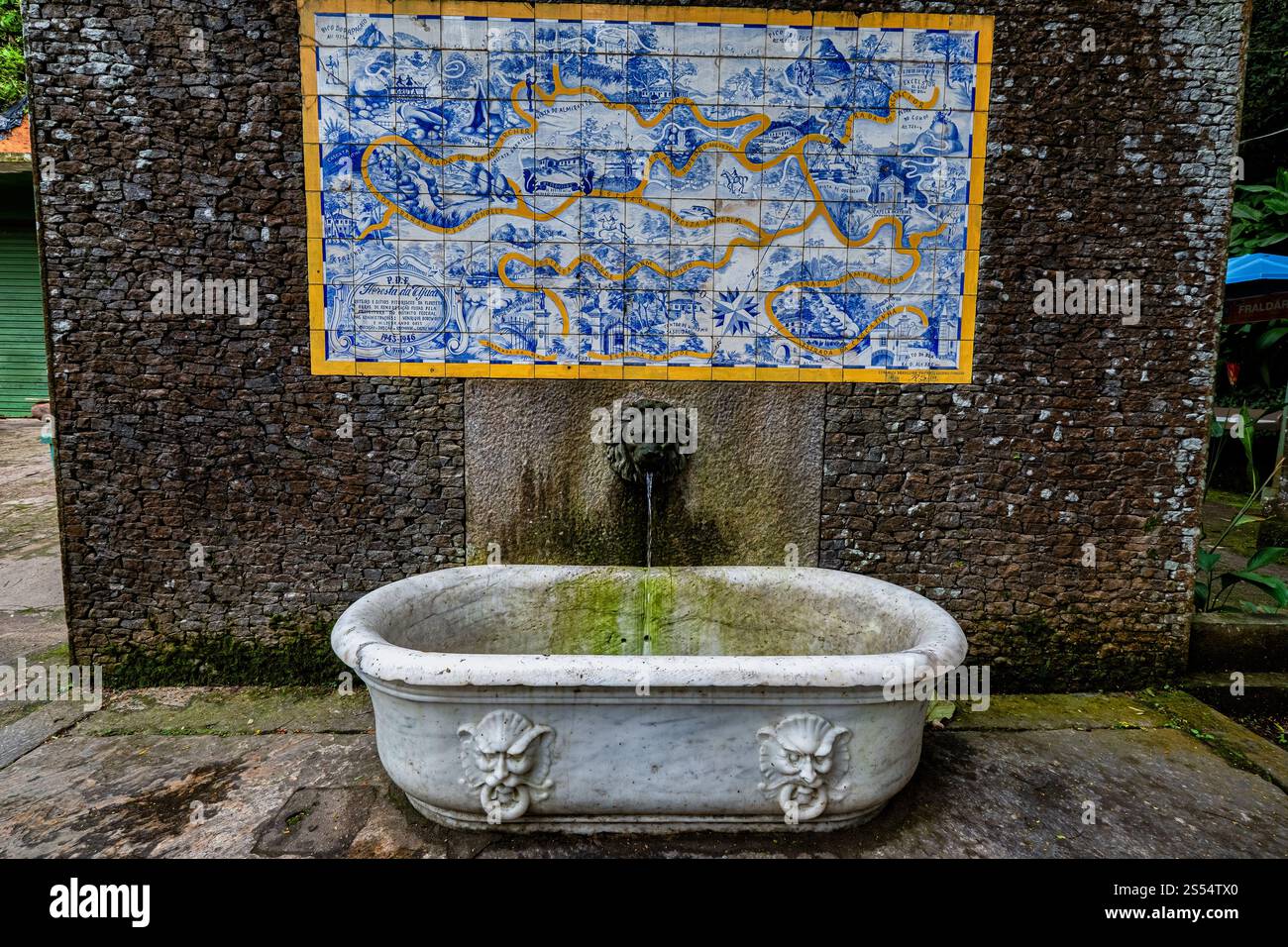 Tijuca Forest is a tropical rainforest that claims to be one of the ...