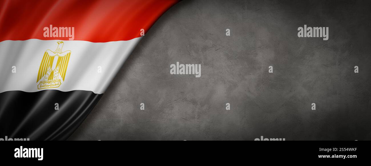 Egypt flag on concrete wall. Horizontal panoramic banner. 3D ...
