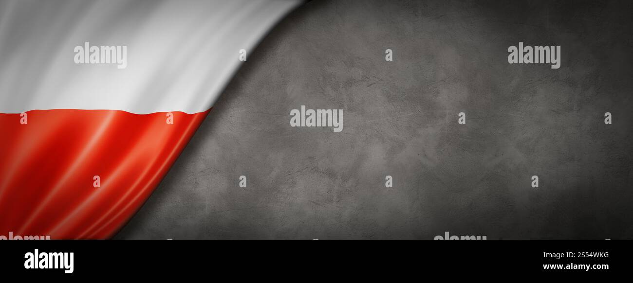 Poland flag on concrete wall. Horizontal panoramic banner. 3D ...