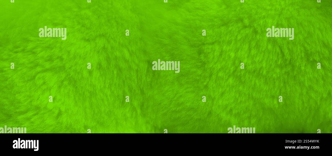 Green fur background close up view. Banner wallpaper. Green fur ...