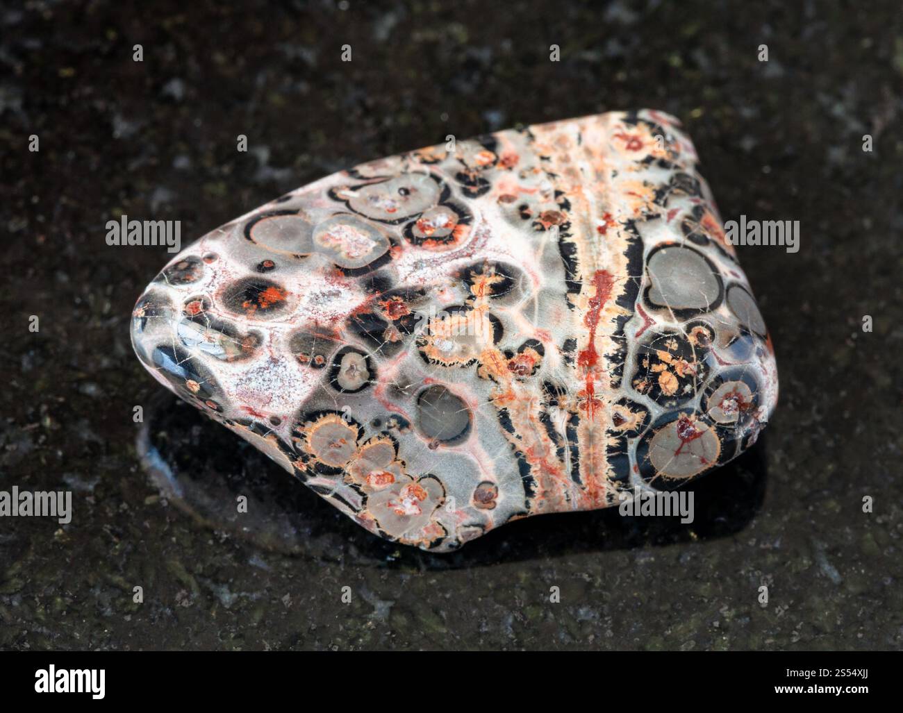 closeup of sample of natural mineral from geological collection ...