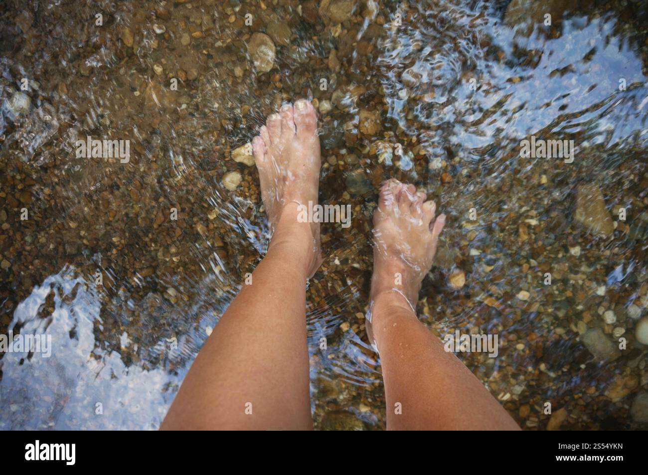 The texture of the bottom. The stones visible under the clear water ...