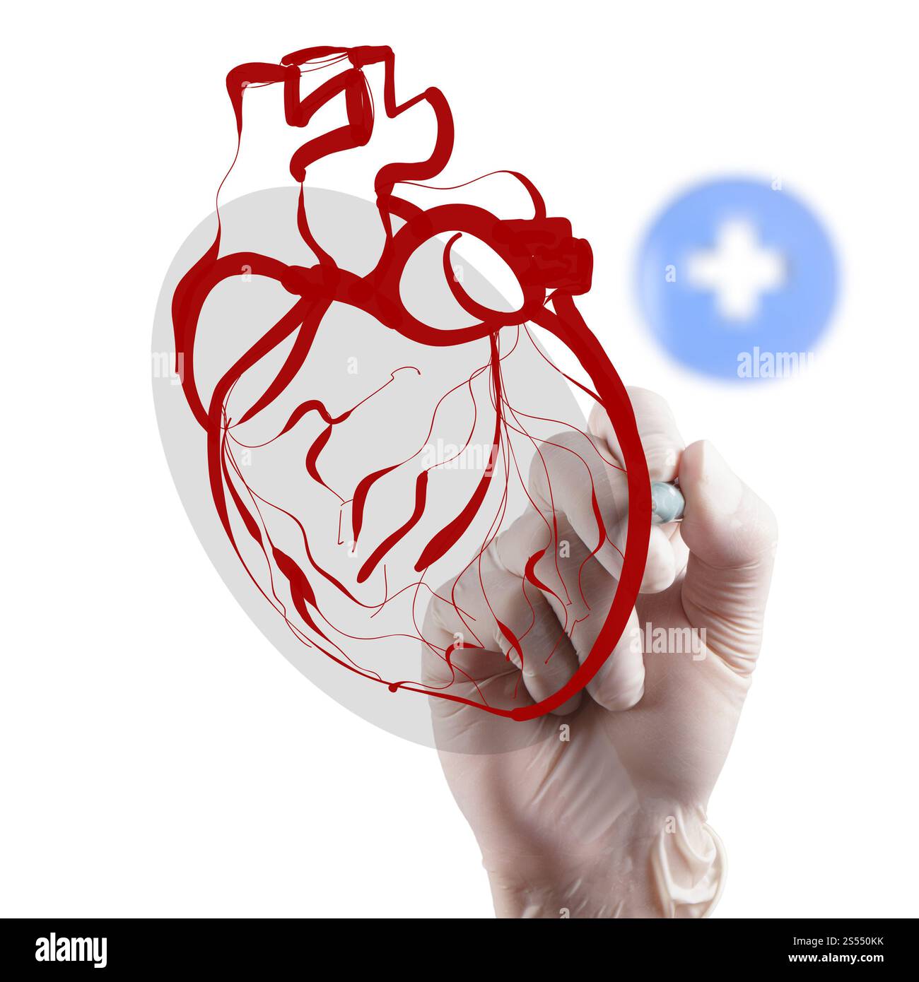 Patient hand in hospital Cut Out Stock Images & Pictures - Alamy