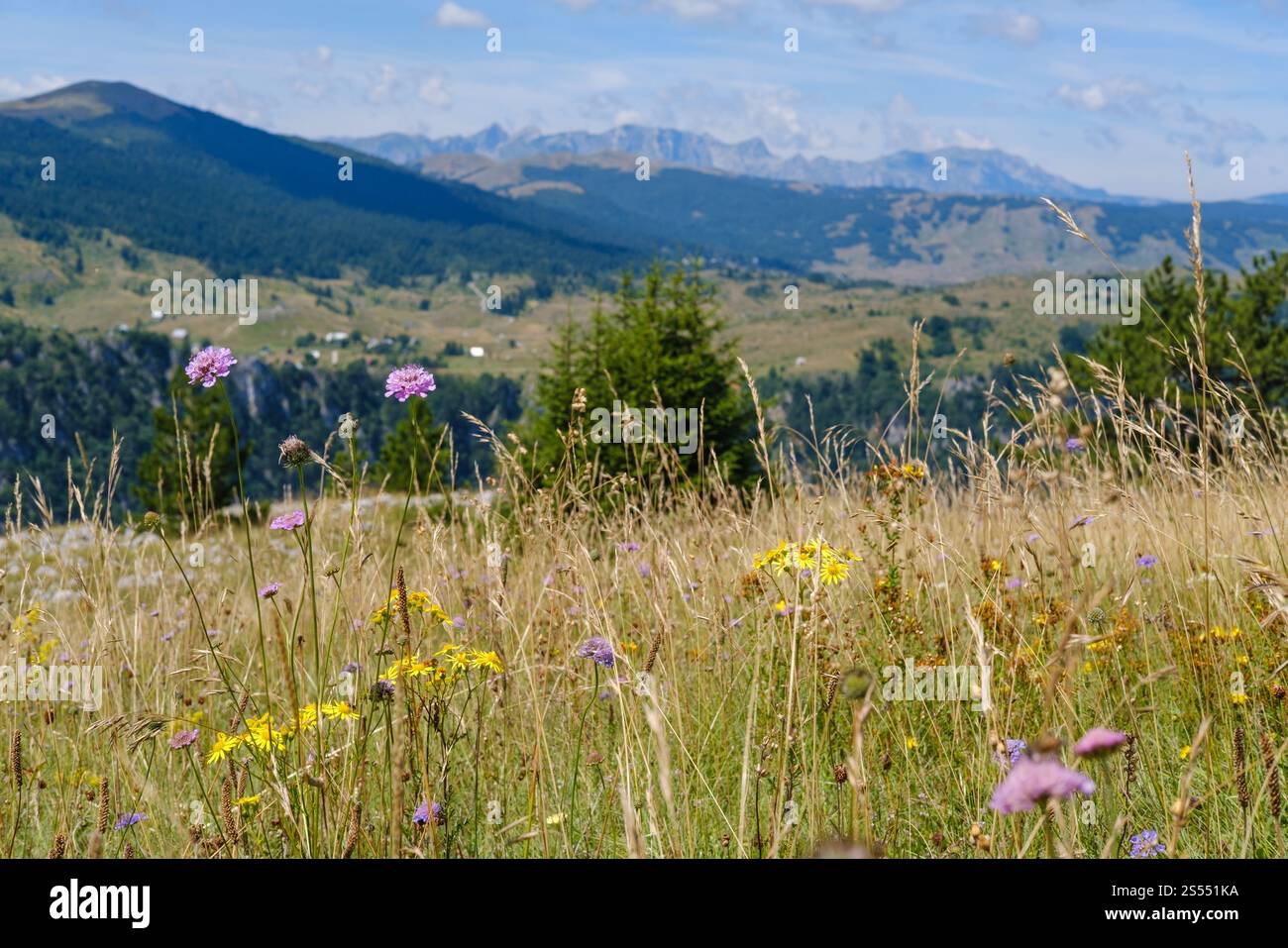 Picturesque summer mountain landscape near Tara Canyon in mountain ...
