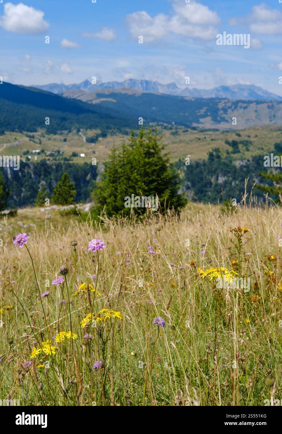 Picturesque summer mountain landscape near Tara Canyon in mountain ...