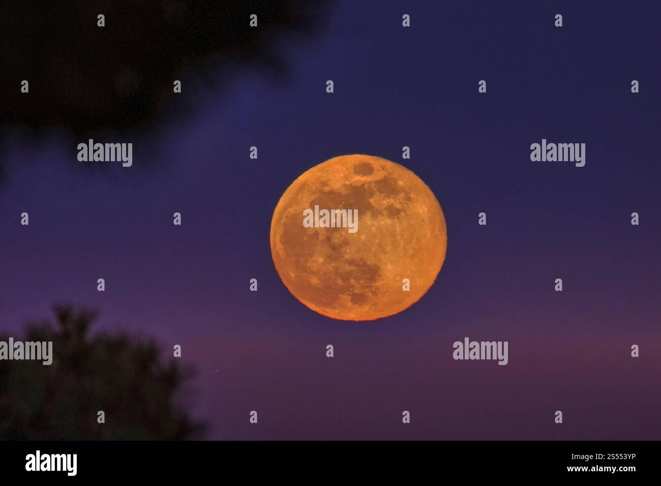 Monterey, USA. 13th Jan, 2025. Monterey, CA, USA January, 13th 2025 A ...