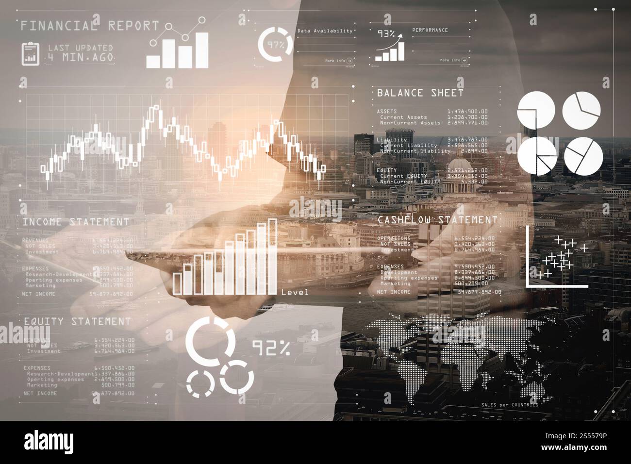 Financial report data of business operations (balance sheet and income ...