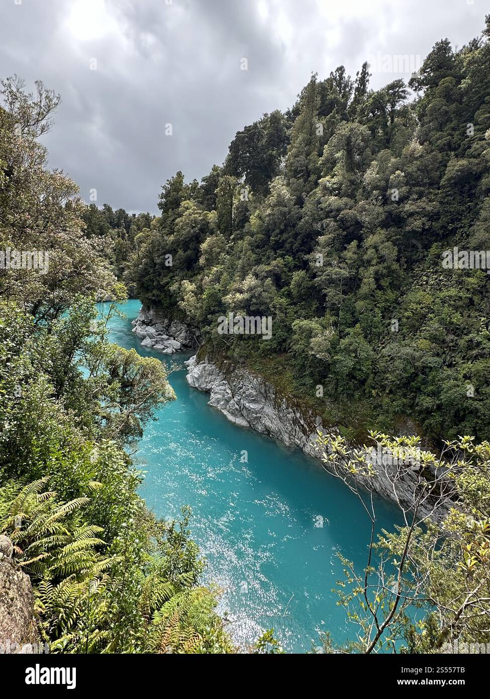 Crystal-clear blue river surrounded by lush greenery in New Zealand ...
