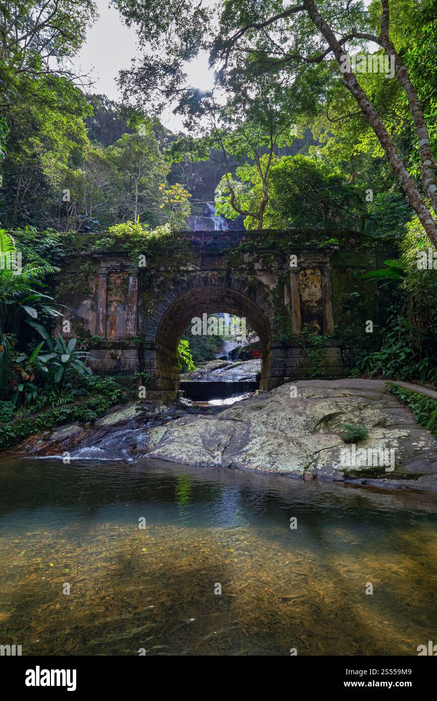 Tijuca Forest in Rio de Janeiro is a haven for nature lovers and ...