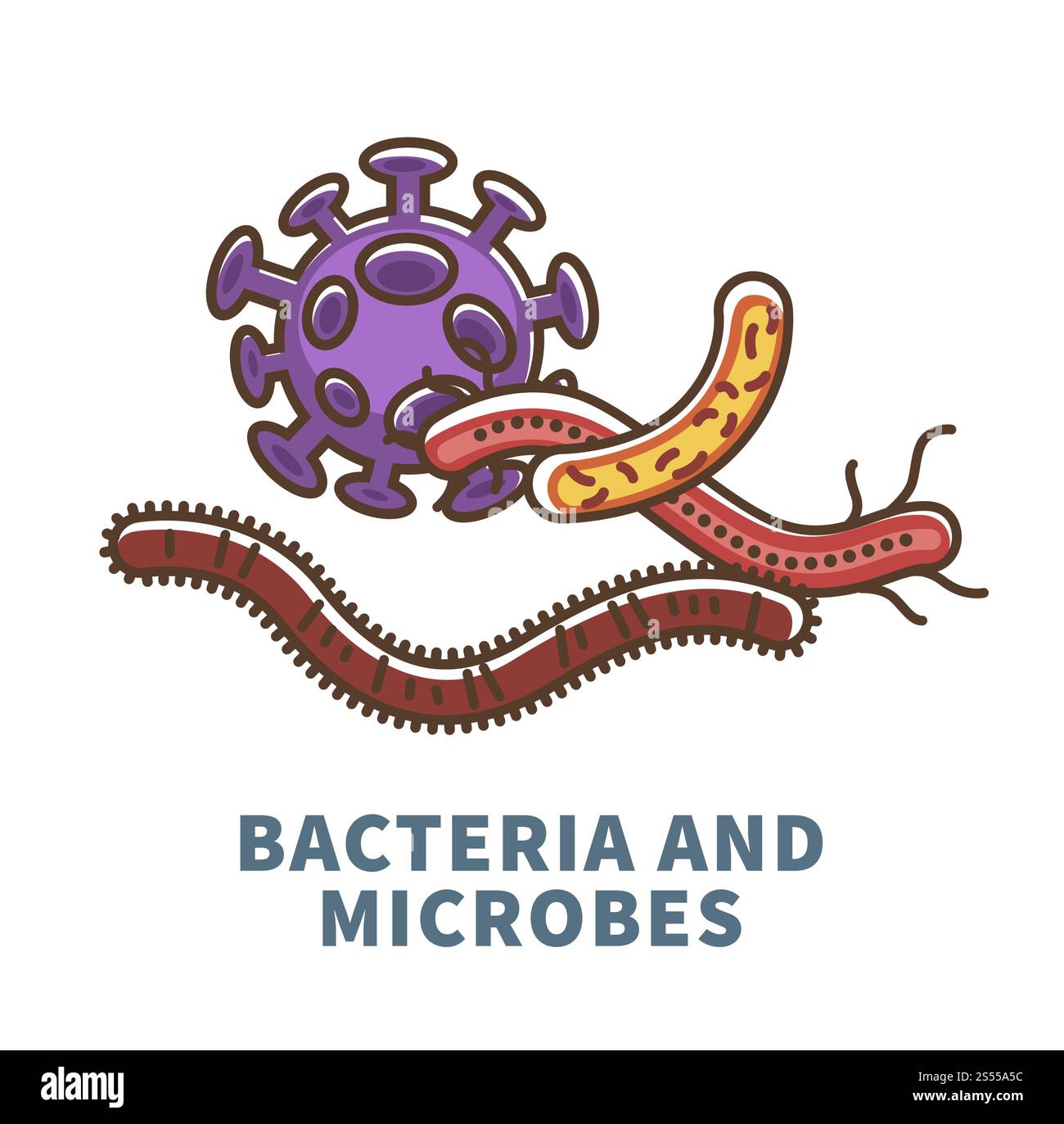 Bacteria and microbes of long and round shapes scientific biology ...