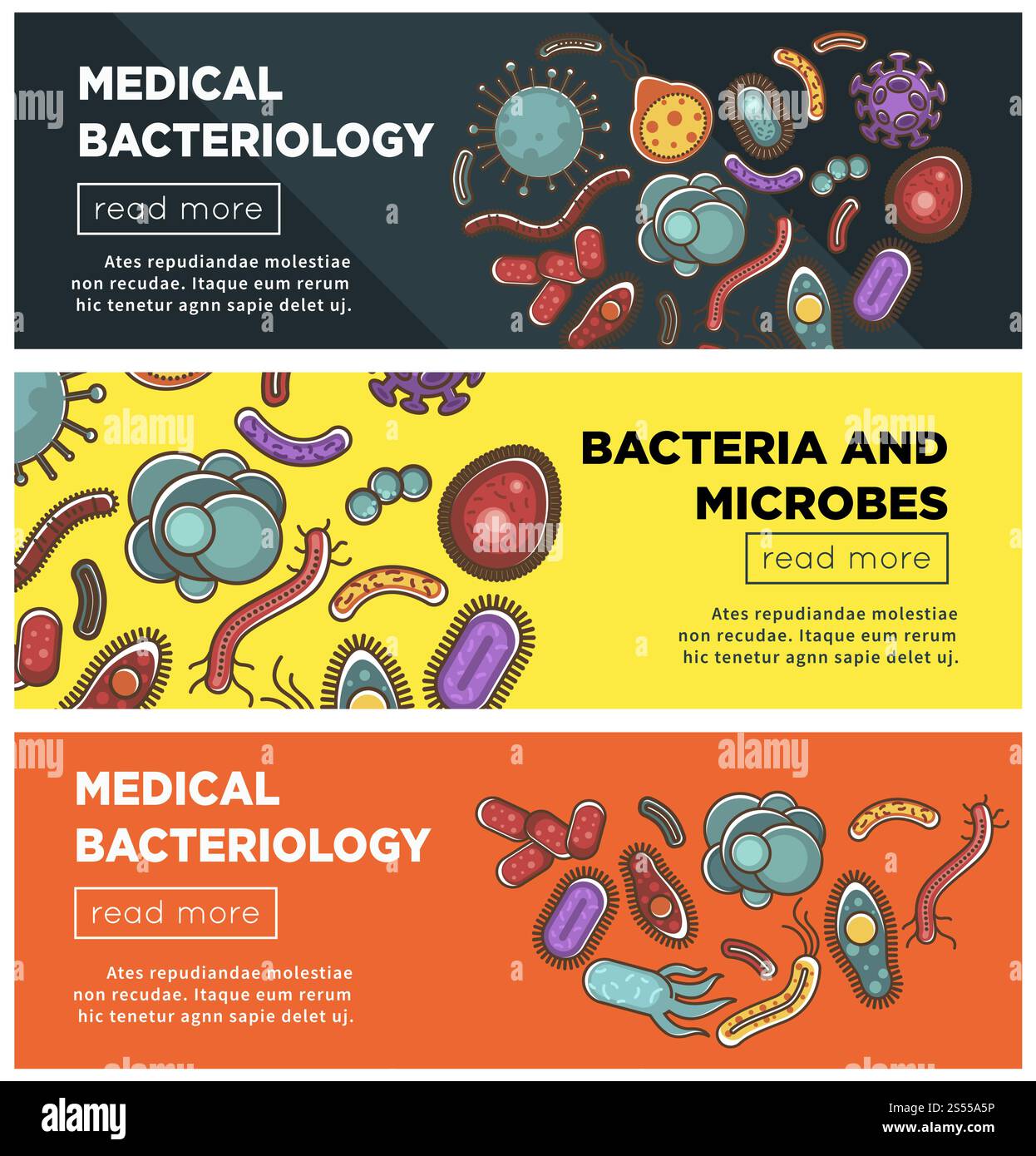 Bacteria and microbes web banners templates for biology study hi-res ...