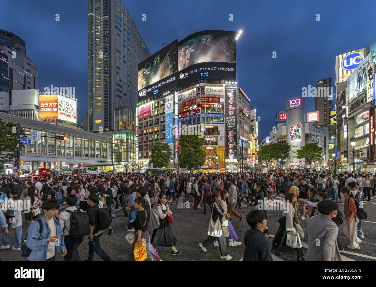 Shibuya crossing at night, Tokyo, Japan, Asia Stock Photo - Alamy