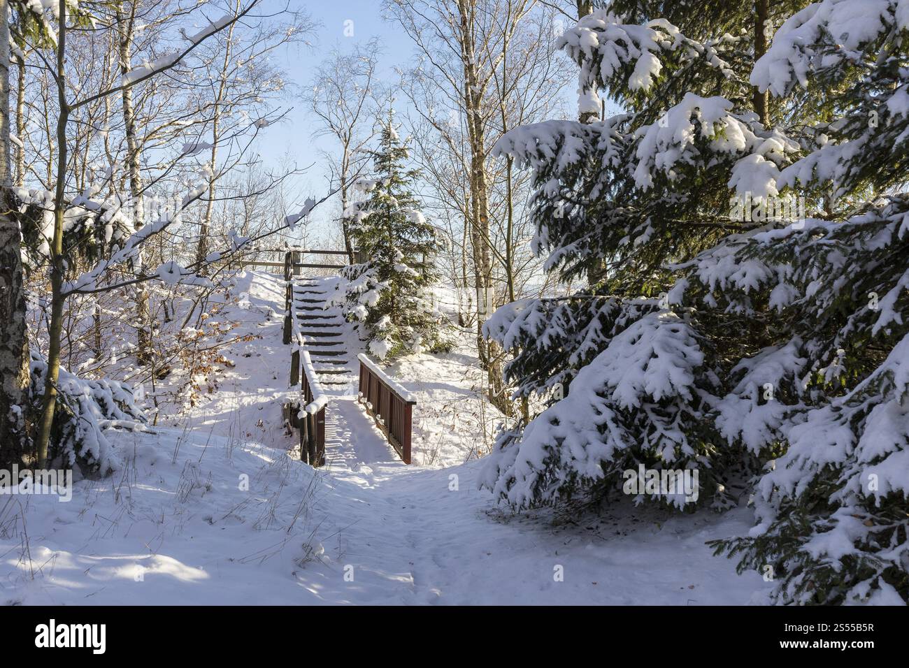 Wooden snow bridges hi-res stock photography and images - Alamy