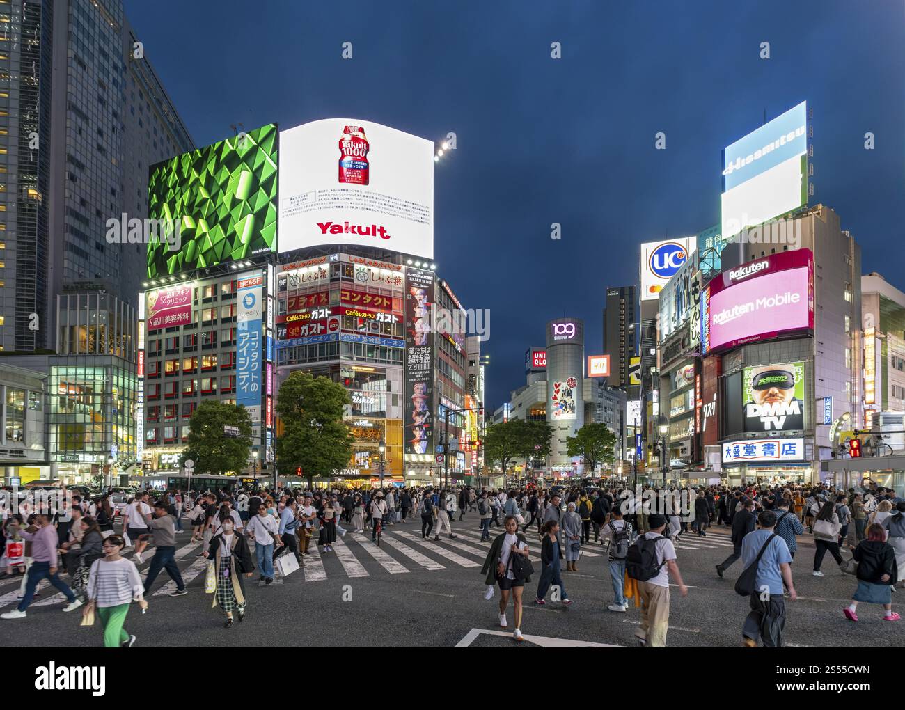 Shibuya crossing at night, Tokyo, Japan, Asia Stock Photo - Alamy