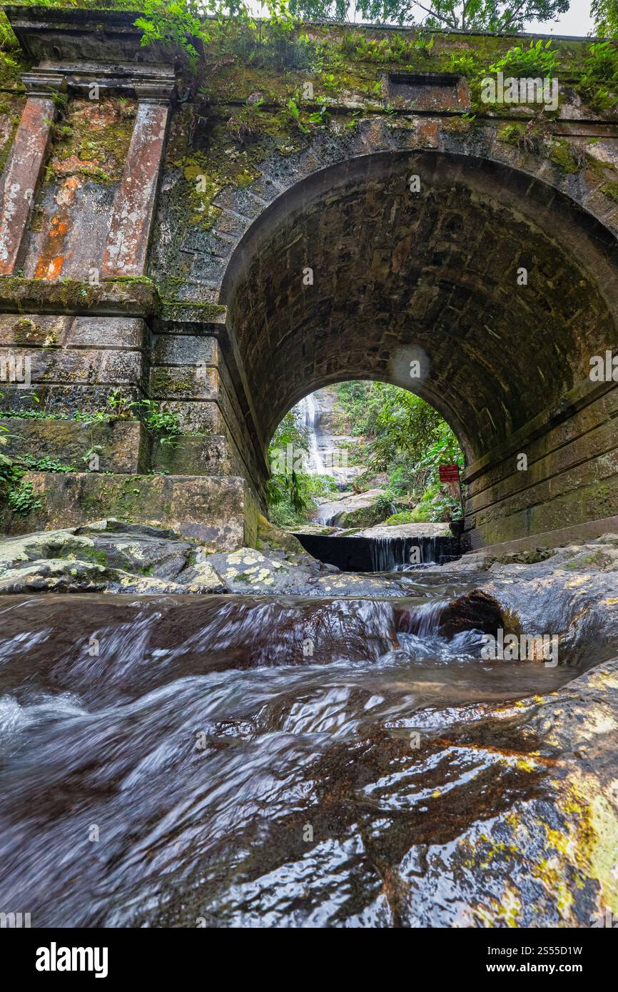 Tijuca Forest in Rio de Janeiro is a haven for nature lovers and ...