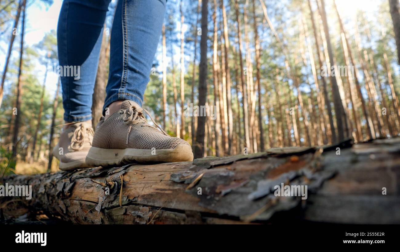 Closeup image of female tourist walking on fallen tree log and crossing ...