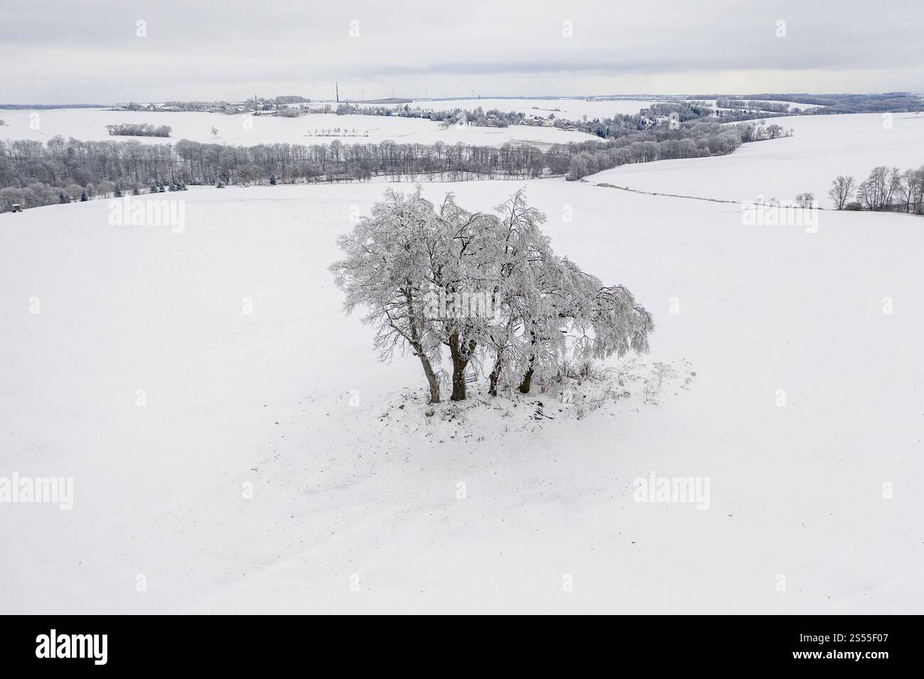 Aerial view of a snow-covered group of trees, in the background the ...