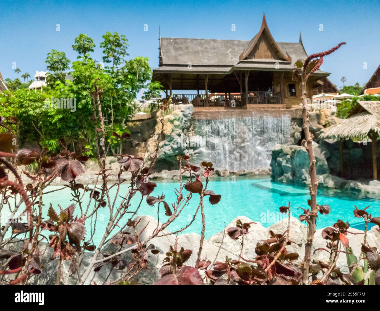 View through bushes on traditional thailand woode house and swimming ...