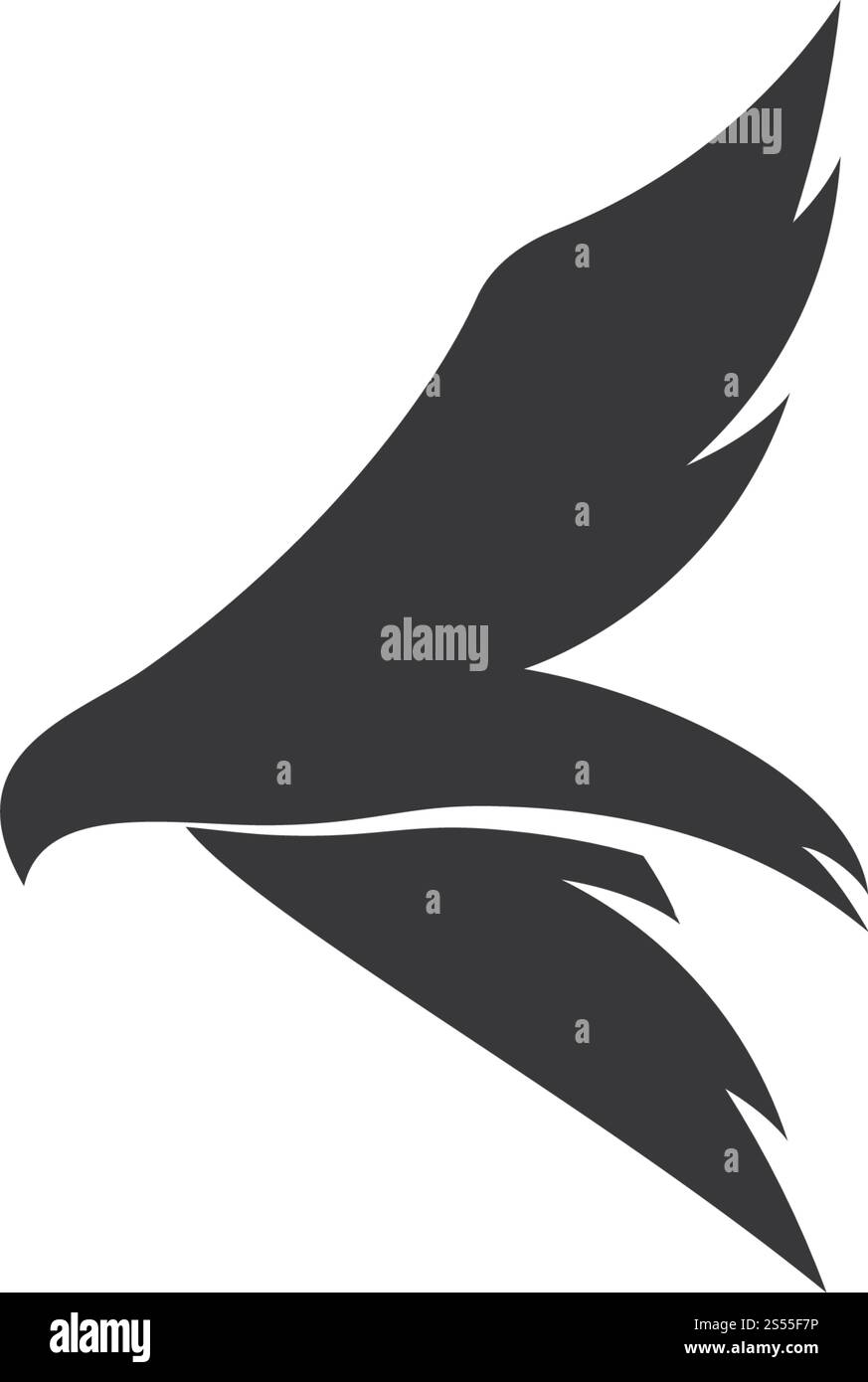 Bird Logo Template vector illustration Stock Vector Image & Art - Alamy
