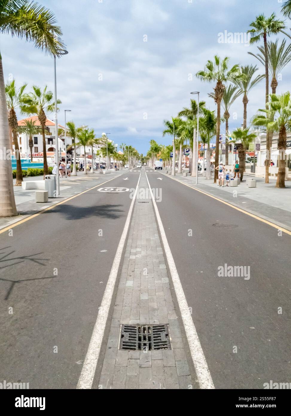 Beautiful photo of main alley road in the Las Americas city, Tenerife ...