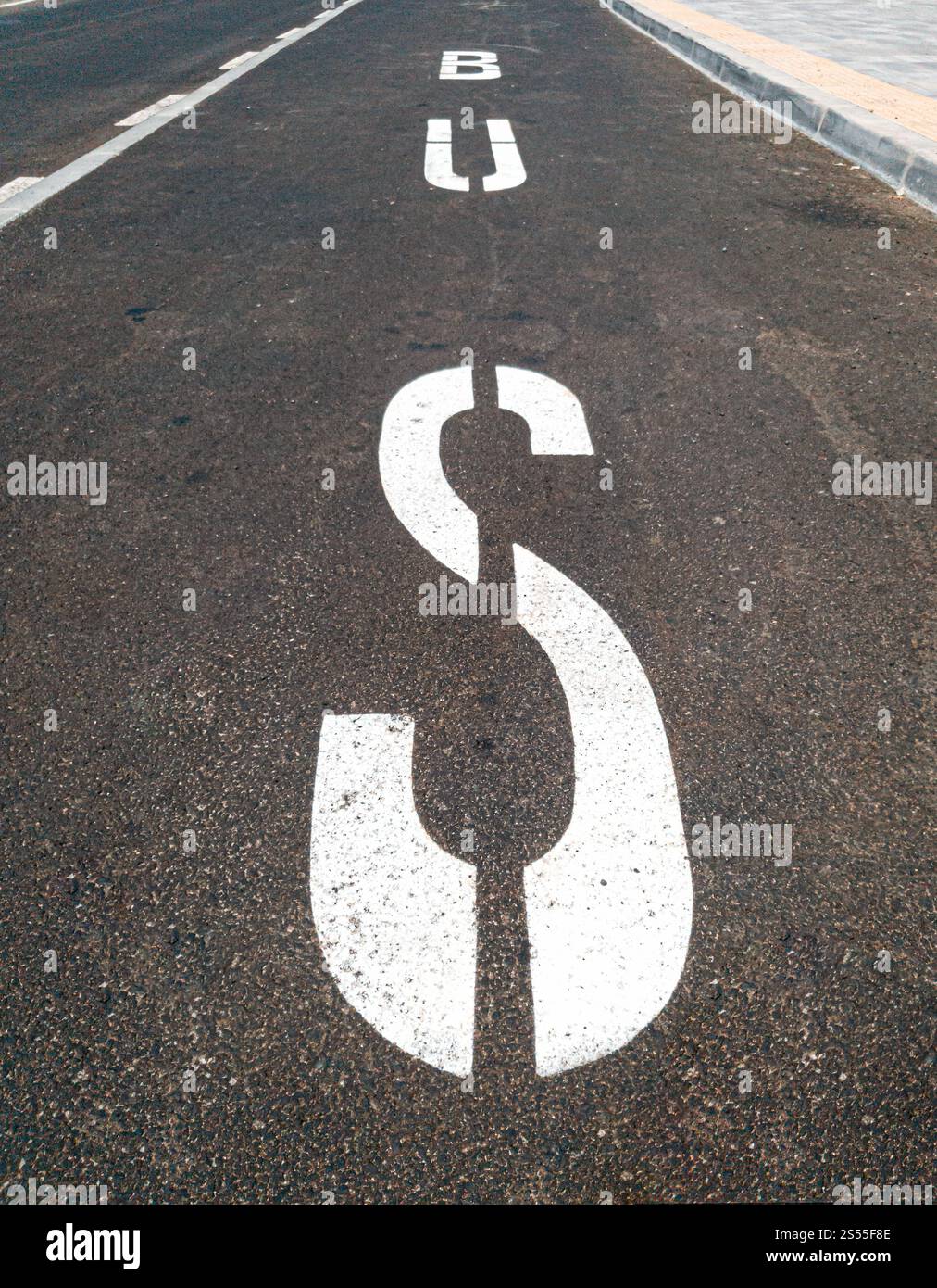Lane for public transport and buses painted with white paint on road ...