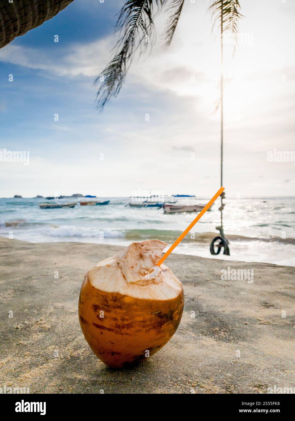 Closeup photo of coconut with drinking straw against palm tree and ...