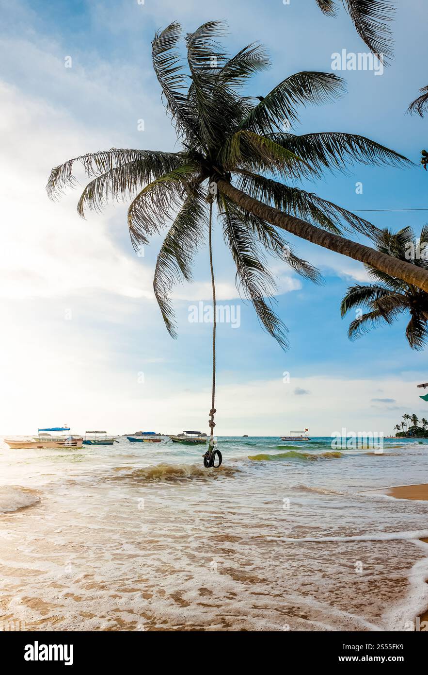 Beautiful photo of palm tree bending over the ocean waves on the beach ...
