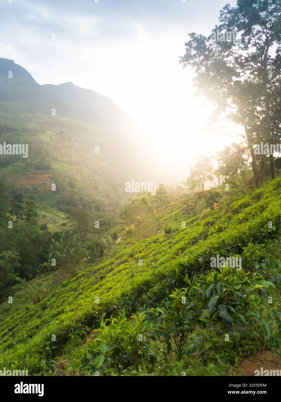 Sun rising hi-res stock photography and images - Alamy