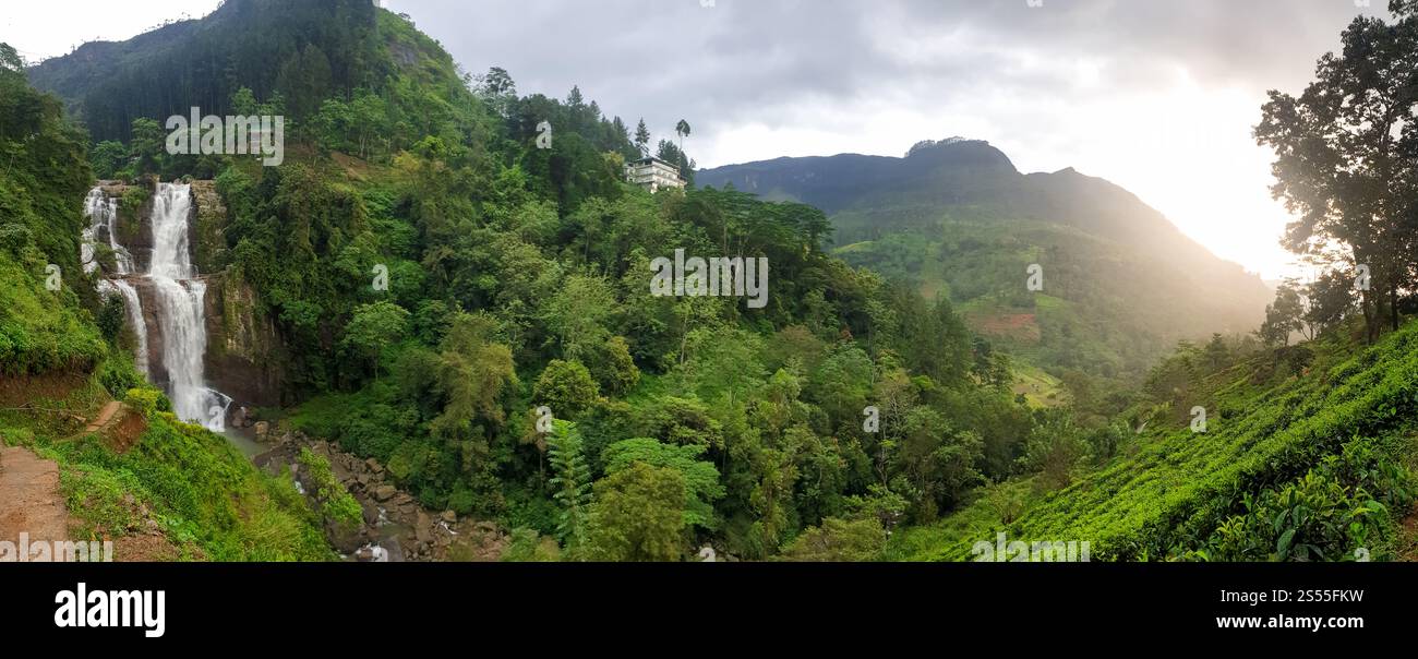 Panoramic image of beautiful waterfal and tea plantation on the ...