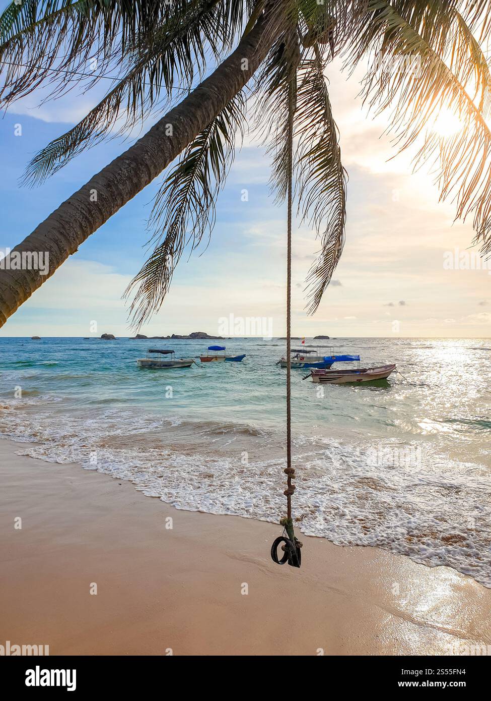 Beautiful photo of bungee rope swinging on the palm tree at sunset ...