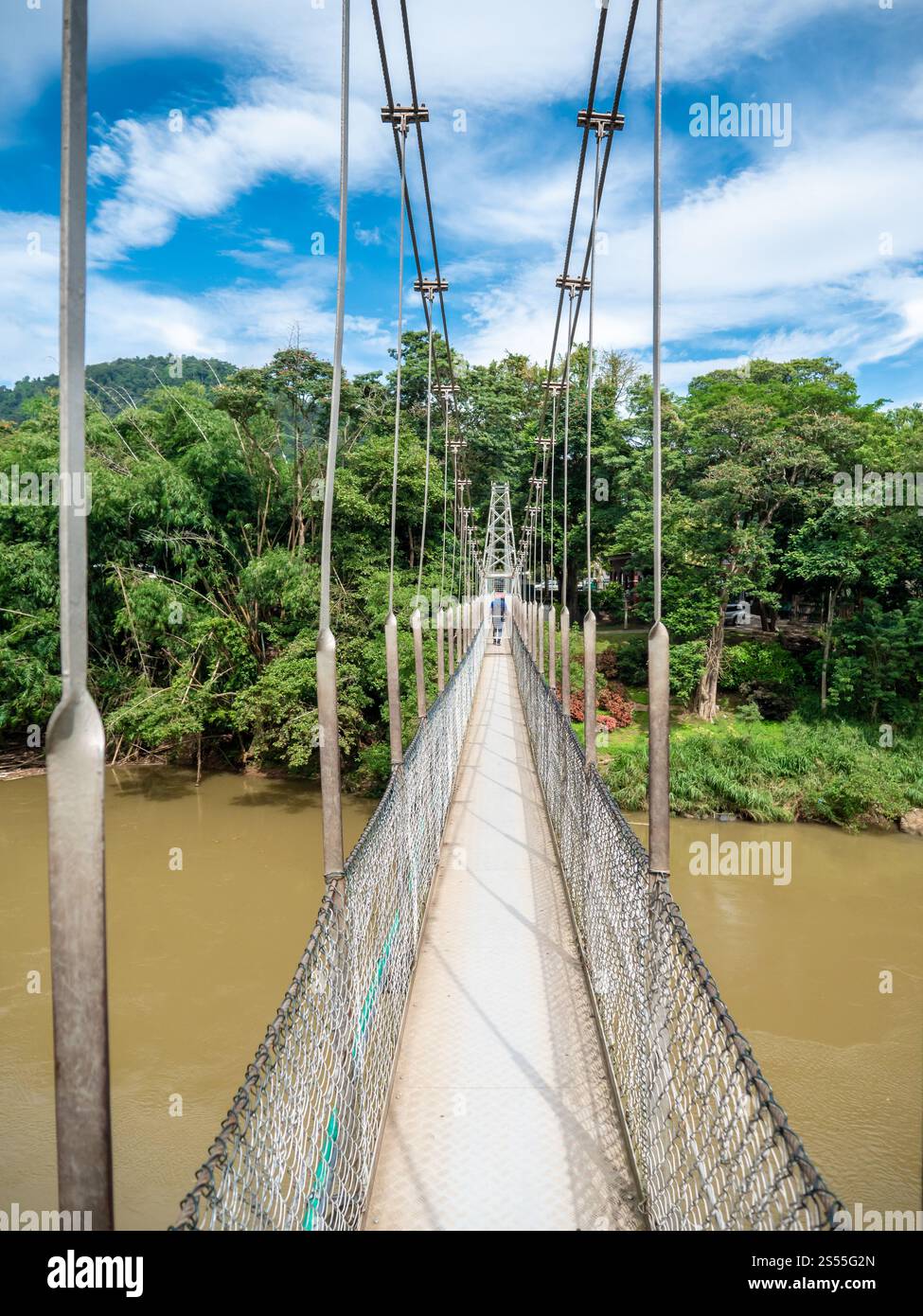 Image of walking on dangerous old suspension bridge in tropical jungle ...