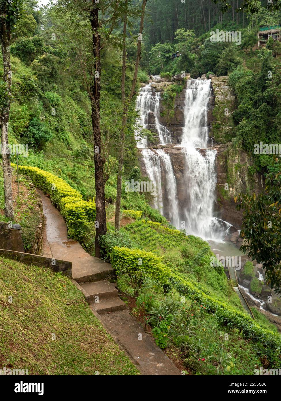 Landscape of highland tea plantation near waterfal cascade in mountain ...