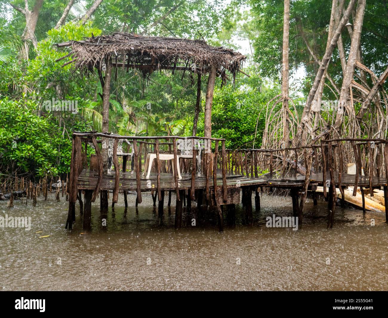 Wooden pier on the river at tropical rainforest during heavy rain. Old ...