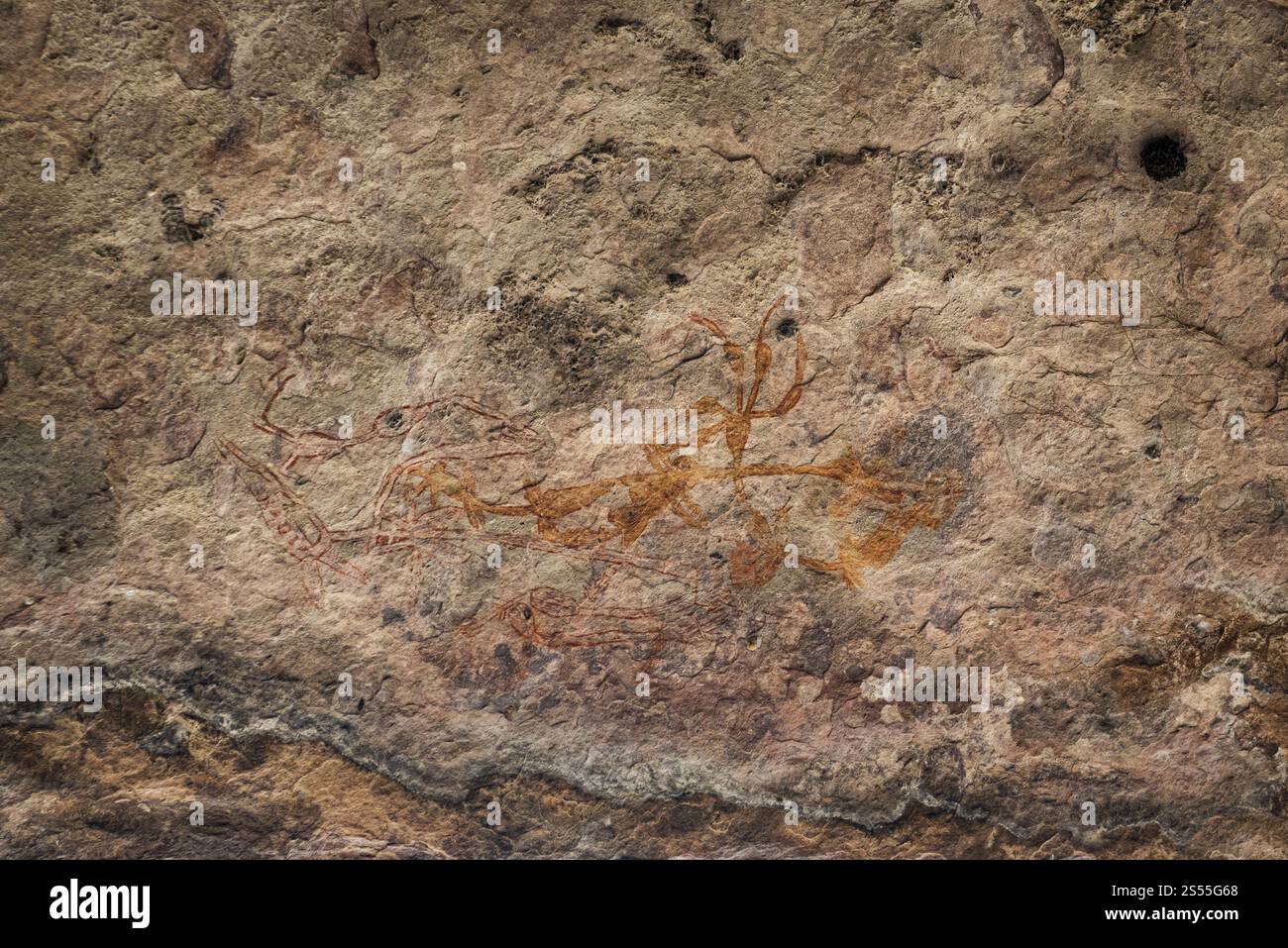 Aboriginal rock carvings, Kadadu National Park, Ubirr, or Obiri Rock ...