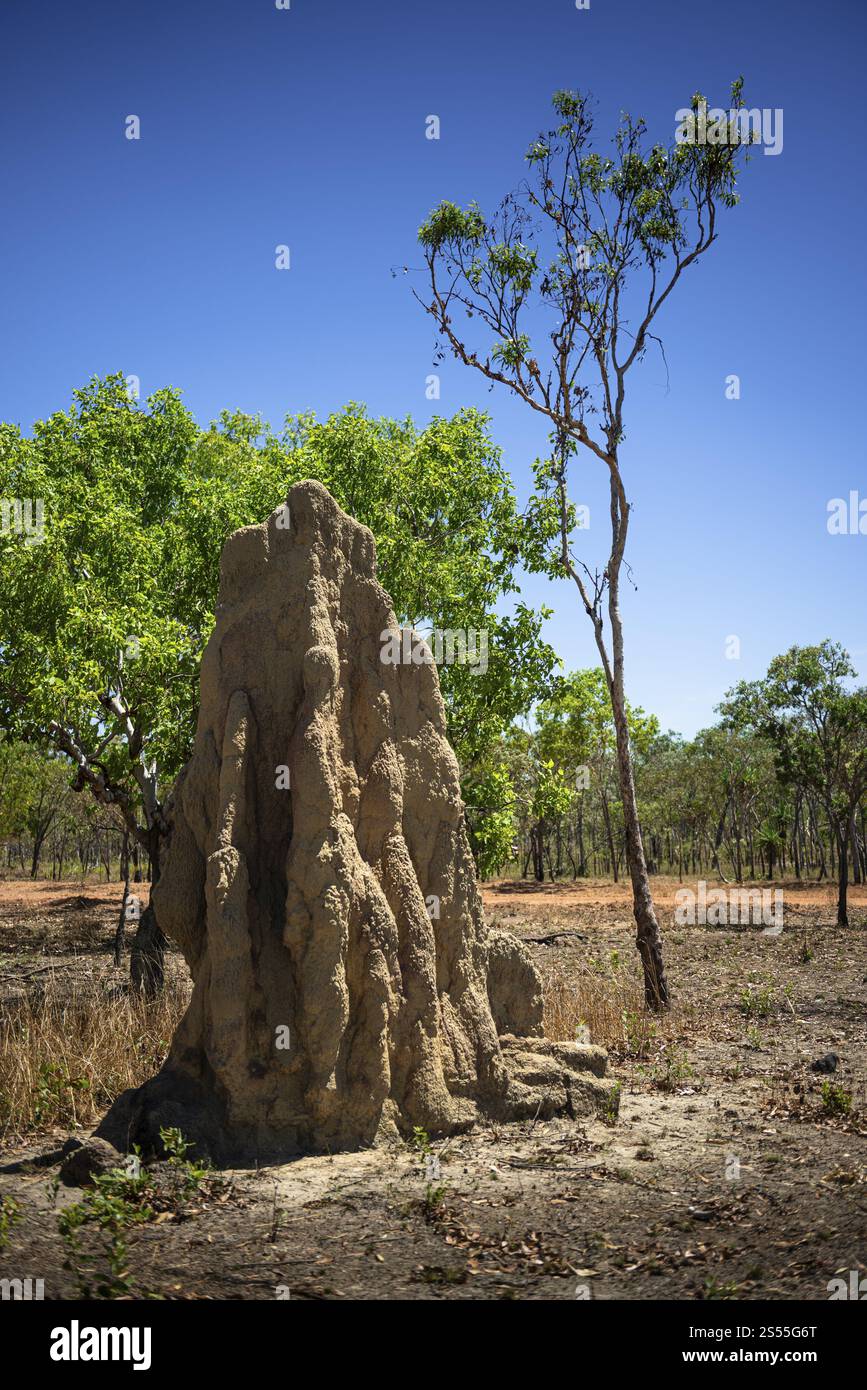 Termite mound on the Jim Jim Road, Kakadu National Park, Northern ...