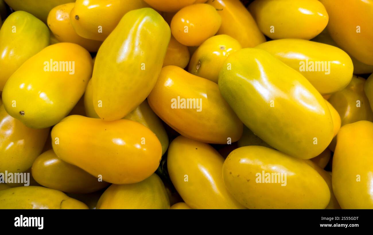Closeup photo of lots of yellow long tomatoes in grocery store. Texture ...
