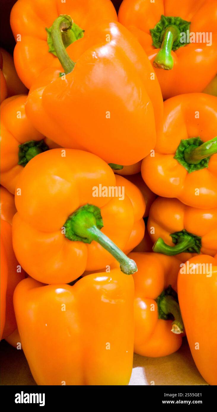 Lots bulgarian pepper vegetables hi-res stock photography and images ...