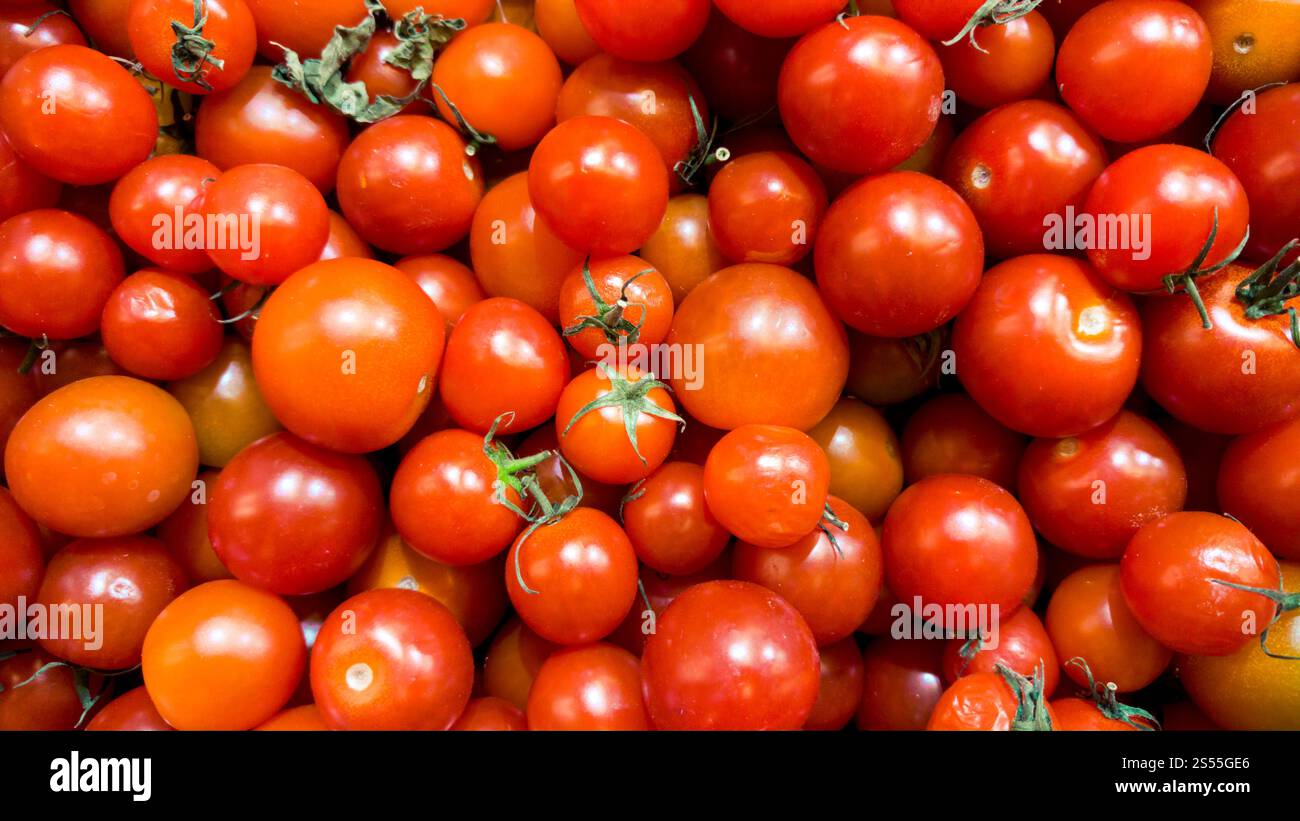 Macro photo of lots of red small cherry tomatoes on counter at vegetable store. Texture or ...