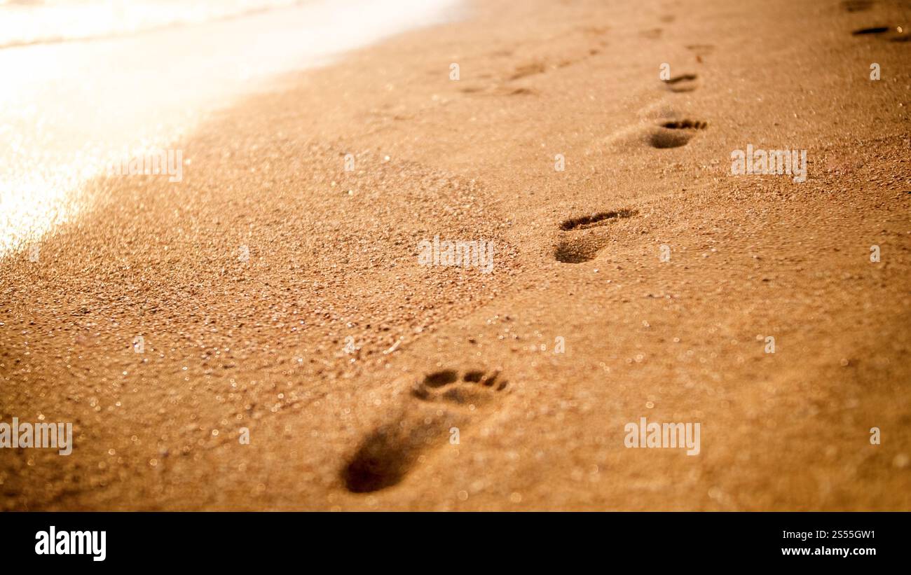 Closeup image of stright line of human footprints on the golden wet ...