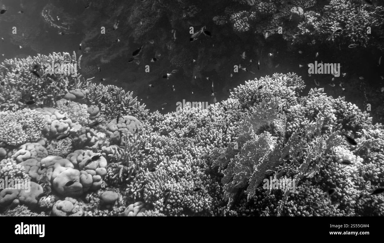 Deep abyss Black and White Stock Photos & Images - Alamy